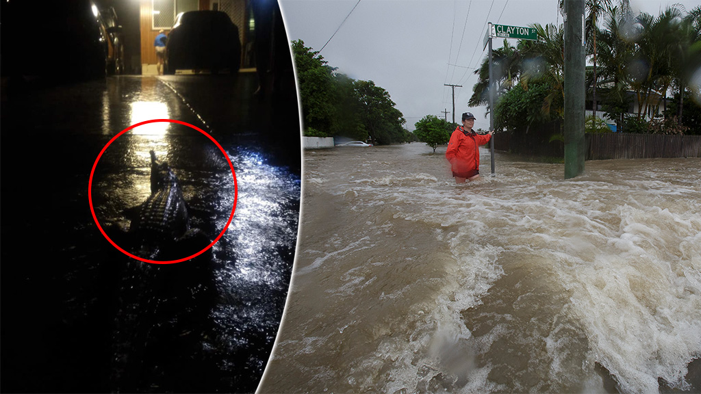Crocodile Driveway Floods Northern Queensland Townsville Record