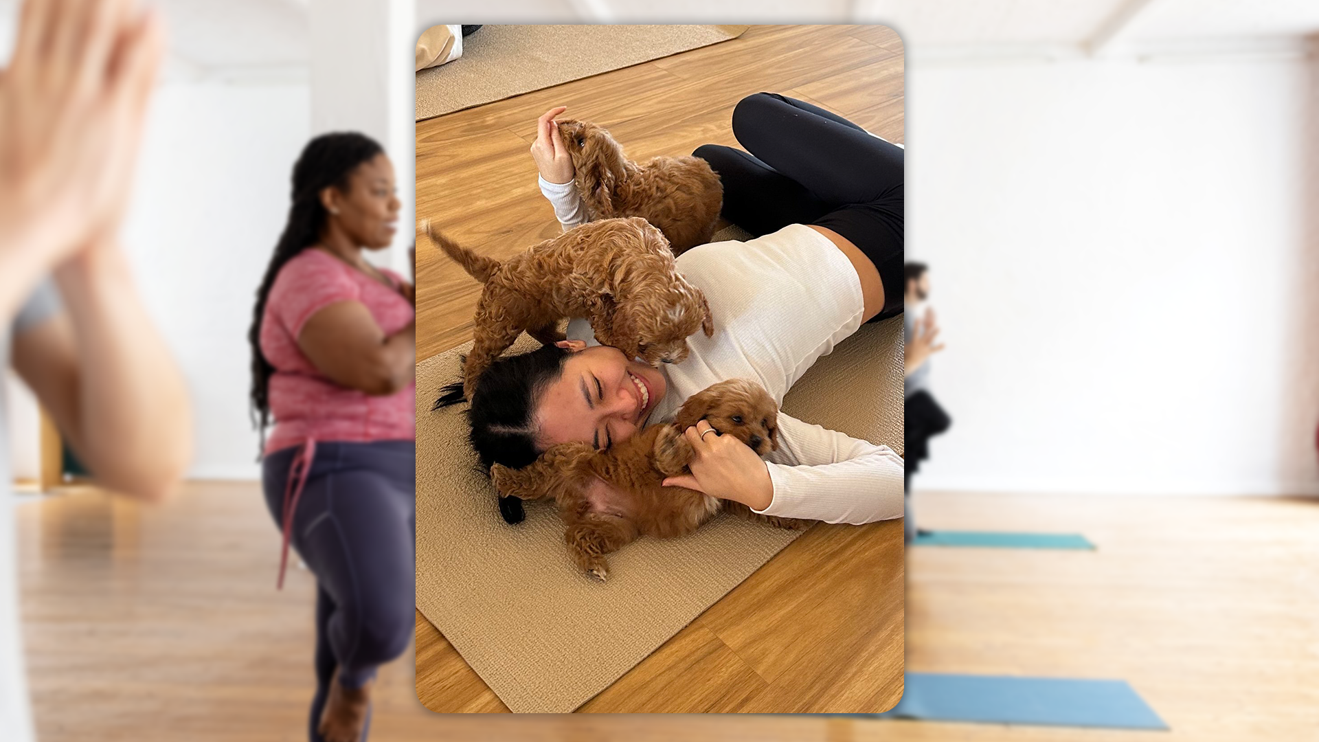 This Melbourne Yoga Studio Offers Classes With Puppies And We're Freaking Out