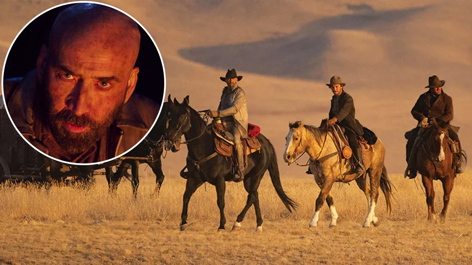 Nicolas Cage Riding A T Rex