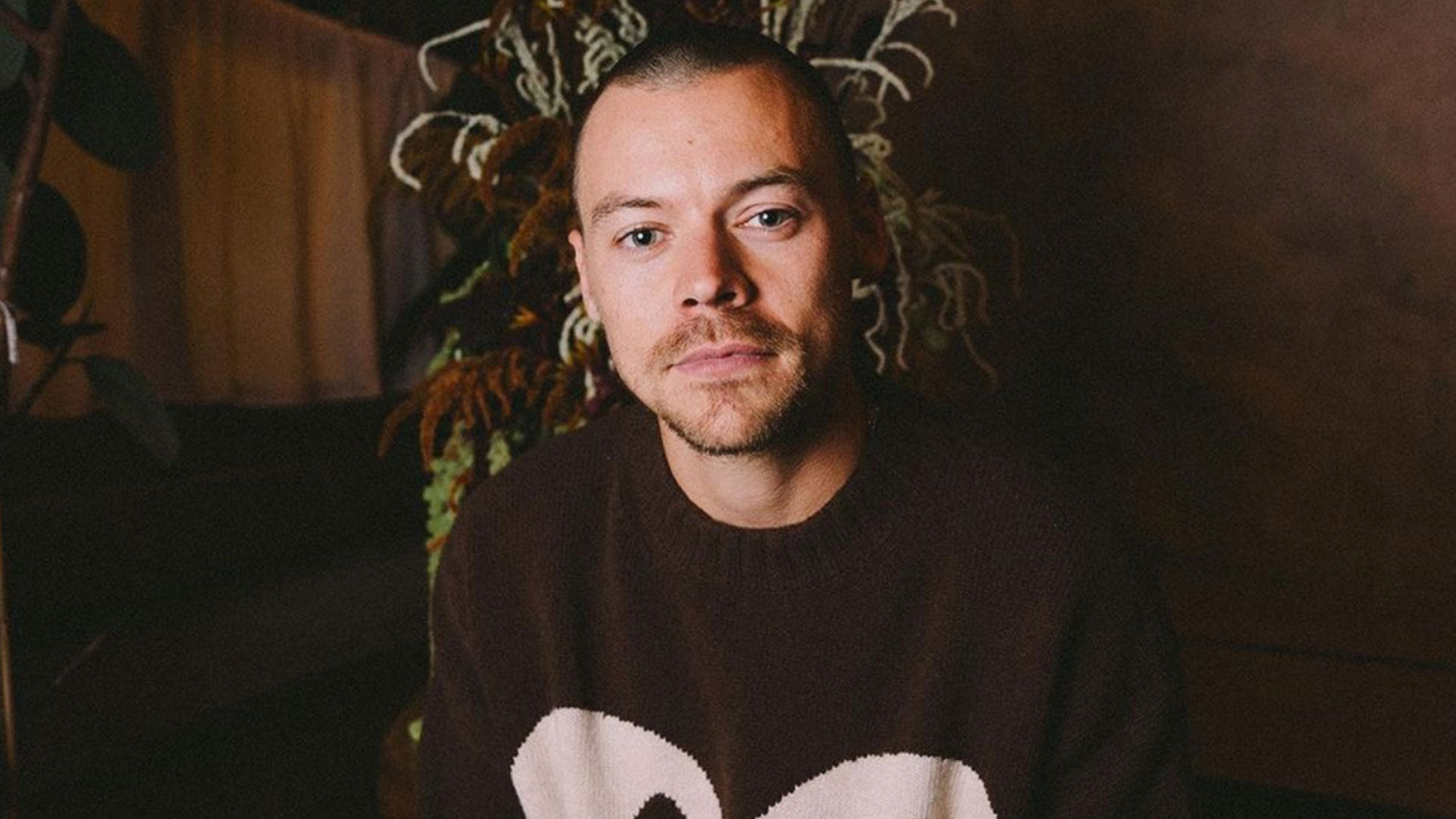 Harry Styles Just Hard-Launched His Buzzcut And We Have Mixed Emotions, tbh